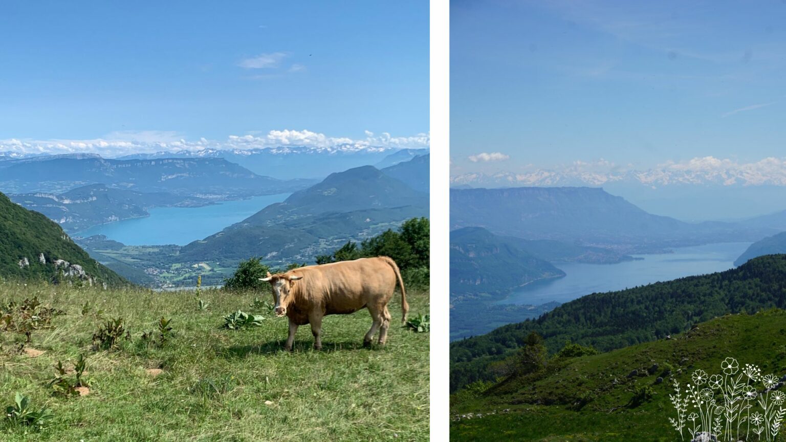 Le Grand Colombier, que faire ? Joyau naturel du Bugey ! - Les Deux ...