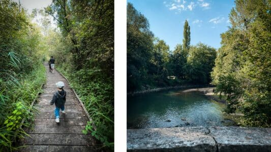 Marais de Lavours : écrin de nature préservé ! - Les Deux Petits ...